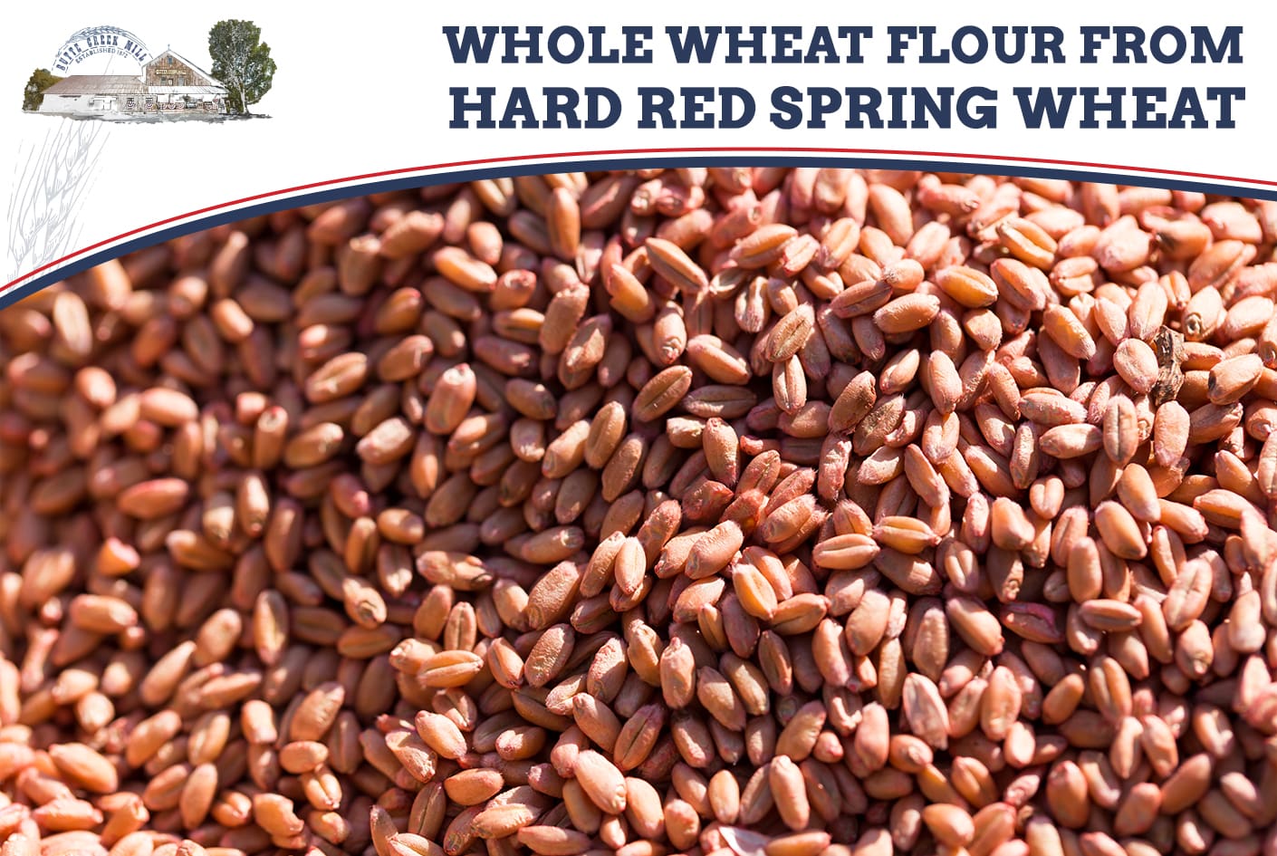 Whole Wheat Flour from Hard Red Spring Wheat - Butte Creek Mill